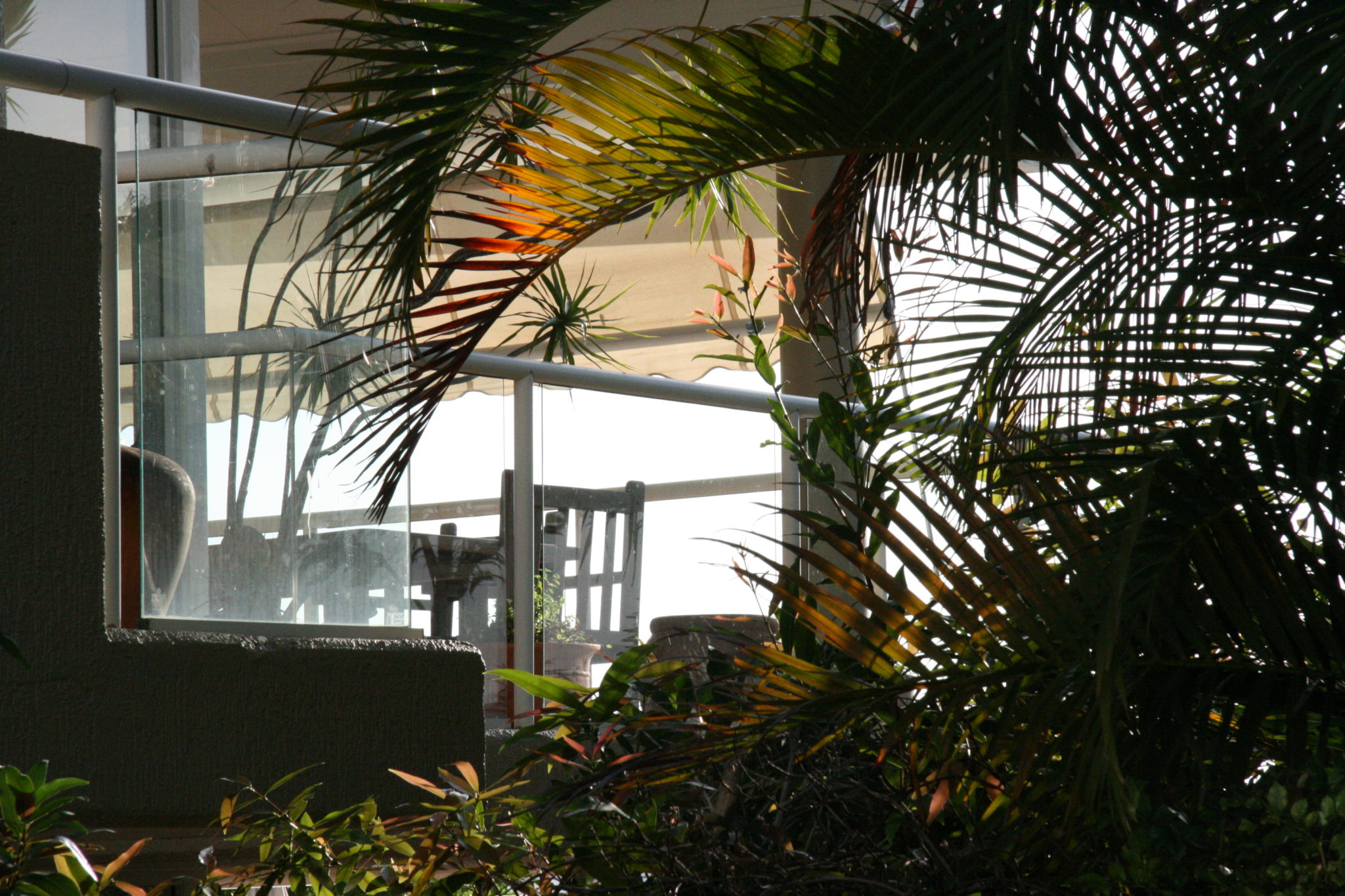 Sunlight, Views, and Trees: 5 Tips to Handle Neighbourly Disputes ...