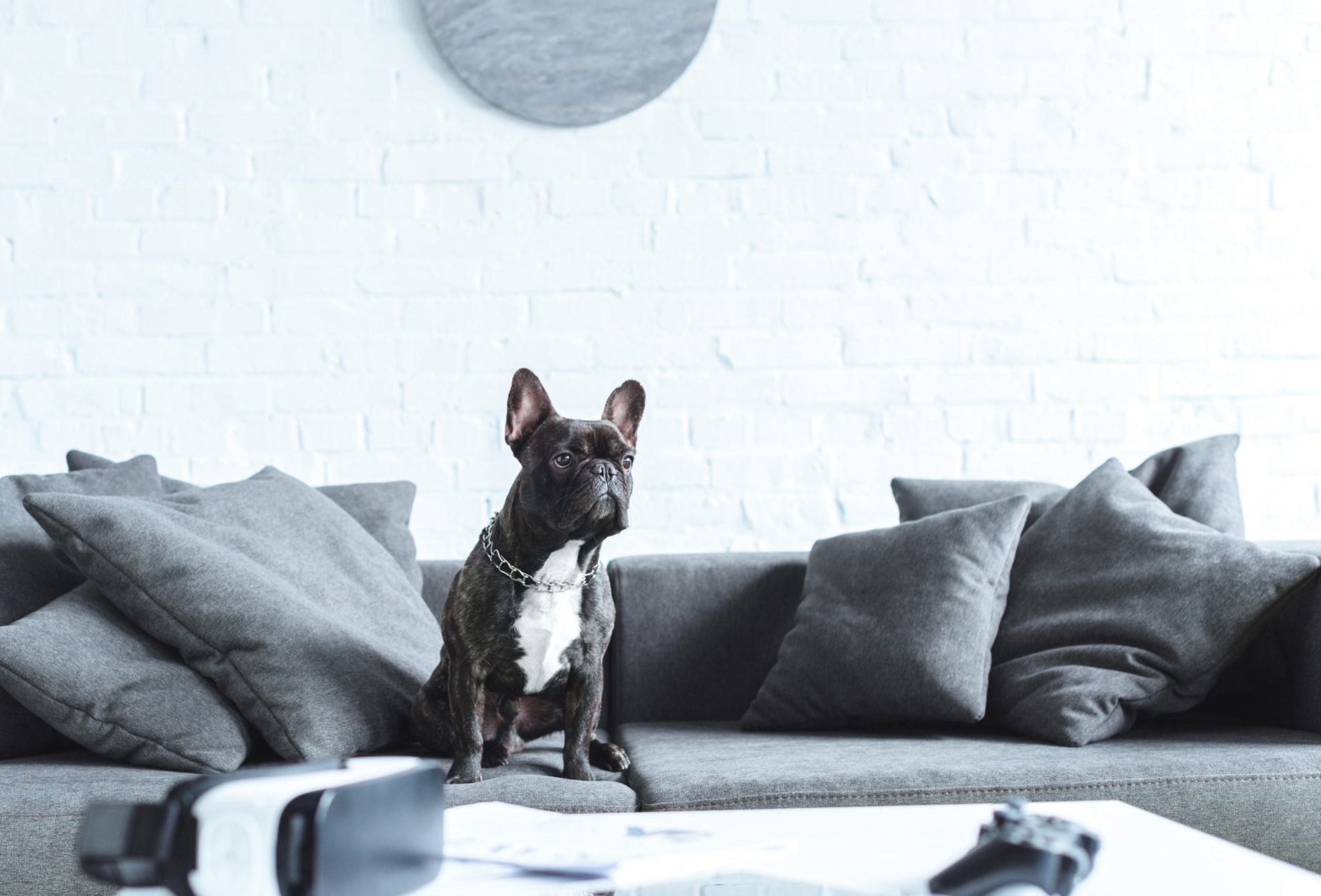 NSW Residential Tenancies Amendment Bill 2025 | Key Changes for ...